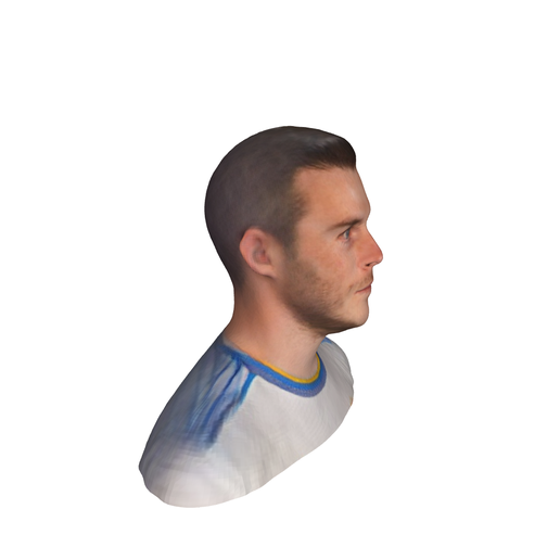 gareth bale head