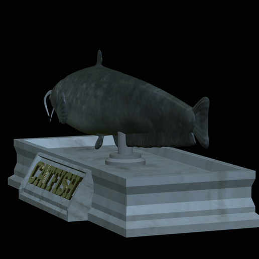 🐠 fish wels catfish / Silurus glanis statue detailed texture for 3d ...