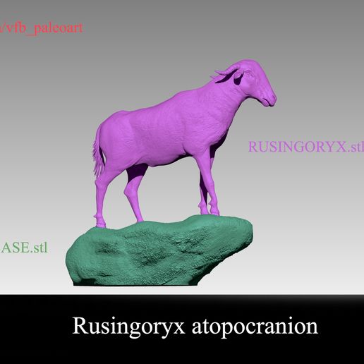🐉 Rusingoryx atopocranion for 3D printing・ 3D File for 3D printing・Cults