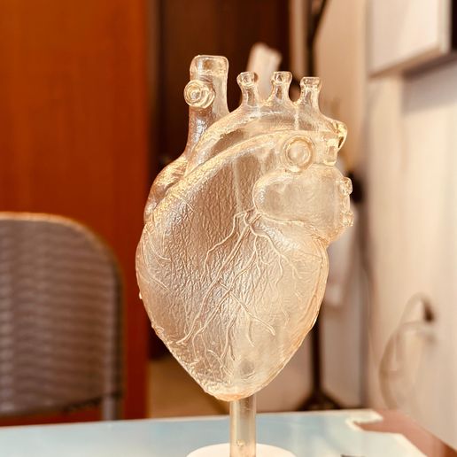 3D printing heart anatomy • made with any cubic photon mono・Cults