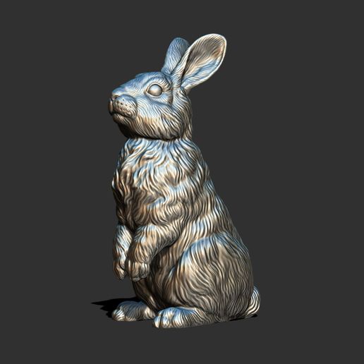 🐇 Rabbit bunny・ STL File for 3D printing・Cults