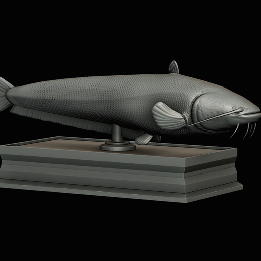🐠 fish catfish / Silurus glanis with storage space / for 3d printing ...