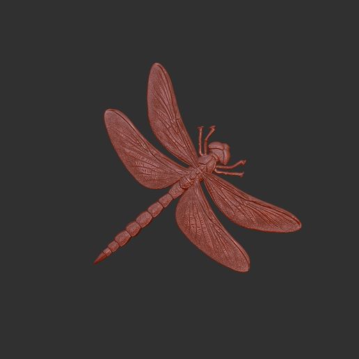 📁 Dragonfly 3d relief .stl file・ STL File for 3D printing and CNC ...