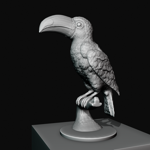 🐦 toucan stl・ STL File for 3D printing・Cults