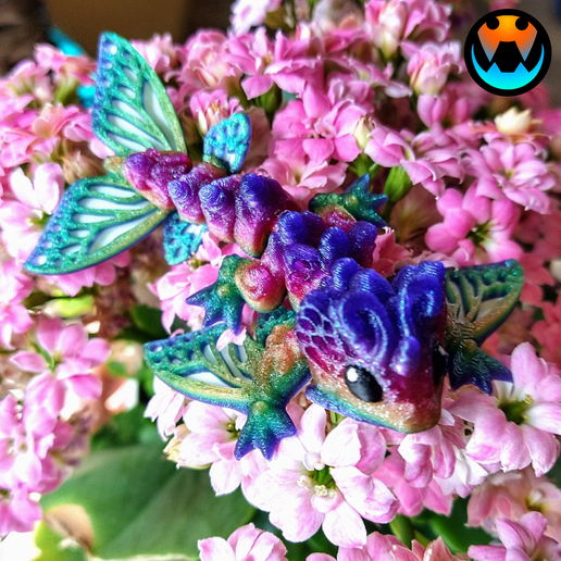 🦋 Butterfly Wyvern, Dragon Baby, Cute Articulating Easy Print-in-Place ...