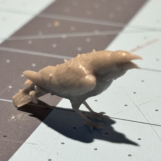 🐦 Crow・3D Print with the Anycubic Mono X2 3D printer・Cults