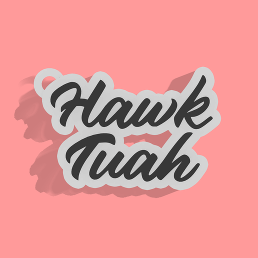 Archivo STL gratis Llavero y adorno Hawk Tuah 🦅 ・Modelo para descargar ...