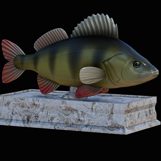 🐠 fish european perch / Perca fluviatilis with storage space / for 3d ...