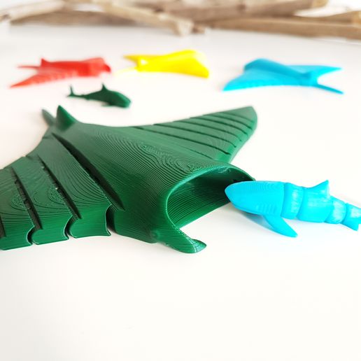 🦈 Manta Ray Flexi (Multicolor .3mf included)・ STL File for 3D printing ...