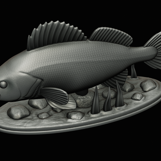 🐠 fish perch / Perca fluviatilis statue underwater detailed texture for ...
