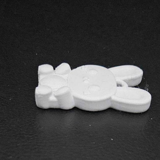 3D file Flat Bunny 🗿 ・3D print object to download・Cults