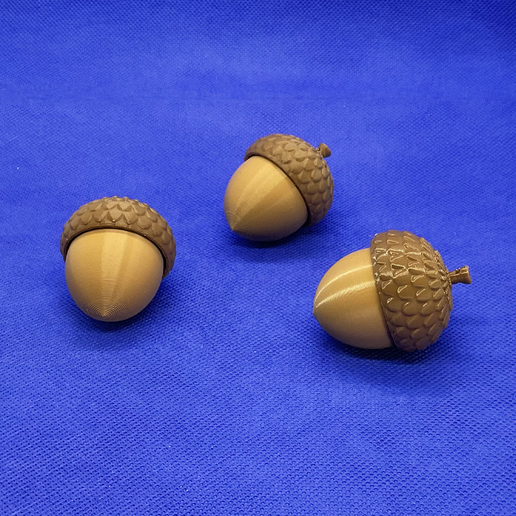 👌 ACORN CLICKER FIDGET・ 3D File for 3D printing・Cults