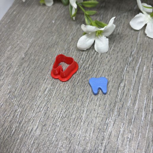 💍 MOLAR CLAY CUTTER. MOLAR CLAY CUTTER・Free STL File for 3D printing・Cults