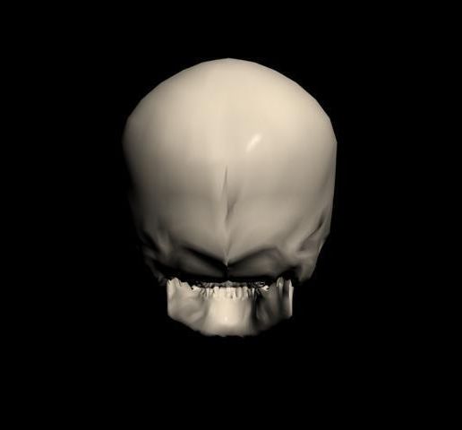 STL file Human Head Skull 💀 (OBJ)・3D print design to download・Cults