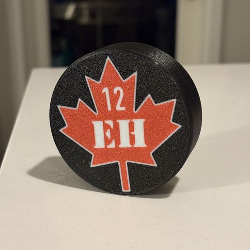 🏒 Customizable Hockey Puck・ STL File for 3D printing・Cults