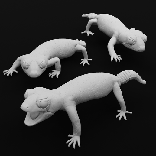 3D file Pernatty Knob Tailed Gecko - Nephrurus Deleani - Reptile Pet ...