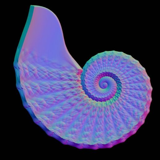 STL file NAUTILUS SHELL 2 🐚 (OBJ)・3D printable design to download・Cults