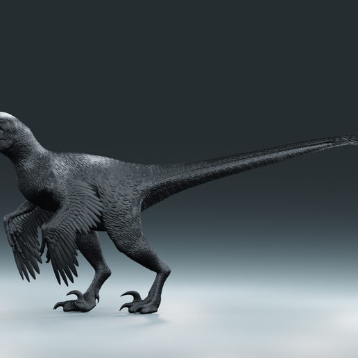 dromaeosaurus size