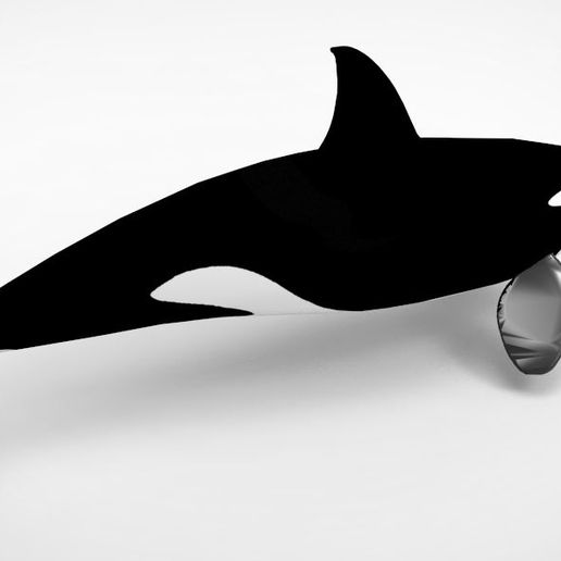 🐠 orca・ STL File for 3D printing・Cults