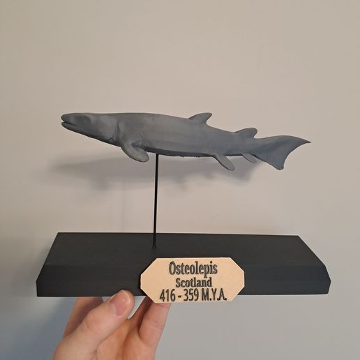 Archivo STL Life-size Osteolepis Model - Extinct Devonian Fish ...