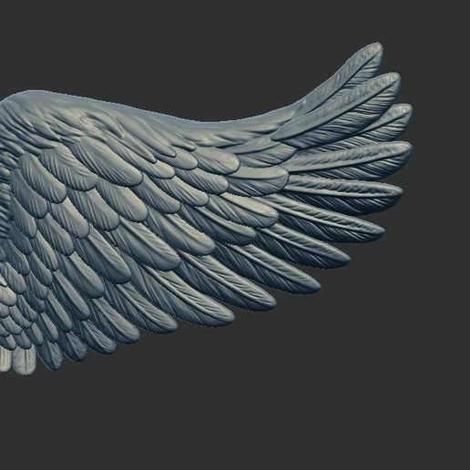 🪶 Wing model 3d printable model cnc・ 3D File for 3D printing and CNC ...