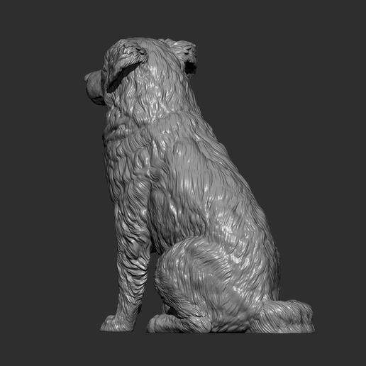 🐕 Australian shepherd sitting 3D printed model・ STL File for ・Cults