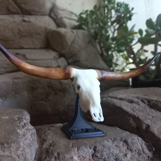 💀 Mini beasts Texas longhorn skull・ STL File for 3D printing・Cults