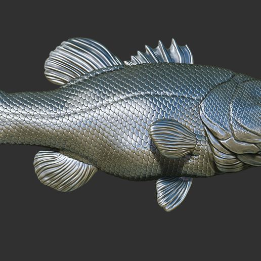 🐠 Largemouth bass・ STL File for ・Cults