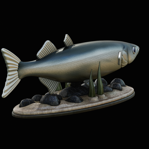 🐠 fish pejerrey / Odontesthes bonariensis natural base detailed texture ...
