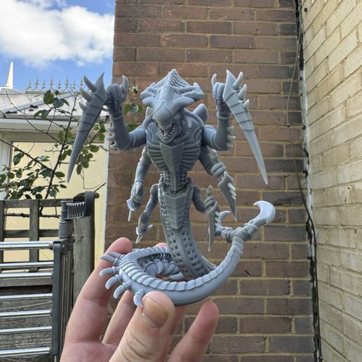 🆓 Tzargon - Tyranimorphs STL Free model・3D Print with the Anycubic photon mono 2 3D printer・Cults