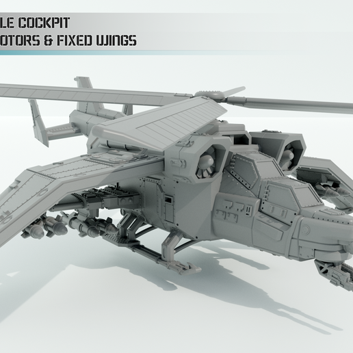 💂 Stryga-Pattern Gunship・ 3D File for ・Cults