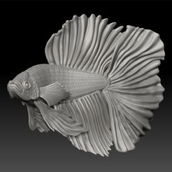 Betta best 3D printing models・56 designs to download・Cults