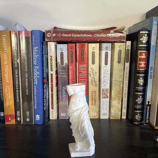 STL file Venus de Milo Vase – Timeless Elegance in 3D 🏺 ・3D print ...