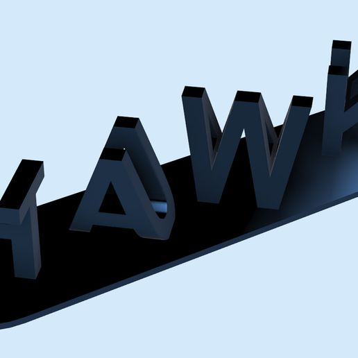 🦅 Hawk Tuah two sided text・Free 3D File for ・Cults