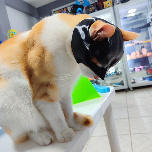 Archivo STL BATMAN BATCAT MASK 👺 ・Objeto imprimible en 3D para ...