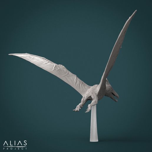 🎲 Pteranodon ‧ DnD Miniature ‧ Tabletop Miniatures ‧ Gaming Monster・ 3D ...