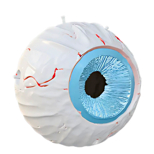 🧸 Realistic Eyeball・ STL File for 3D printing・Cults