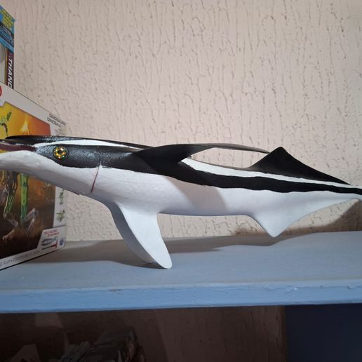 🐠 Remora Model – Suction-Head Fish Replica・3D Print with the ender 3 v3 ...