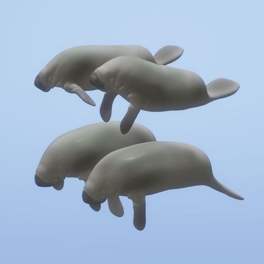 🚰 Manatee, Manatee・ STL File for 3D printing・Cults