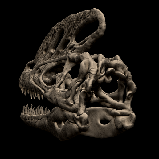guanlong skull