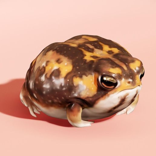 🏜️ Cute Desert Rain Frog・ STL File for 3D printing・Cults