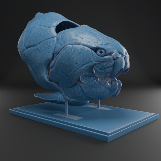 💀 Dunkleosteus skull 3D print model・ STL File for 3D printing・Cults