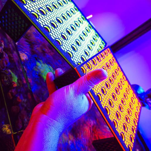 💪 Strong Coral Frag Rack Holds 49 Frags!!・ STL File for 3D printing・Cults