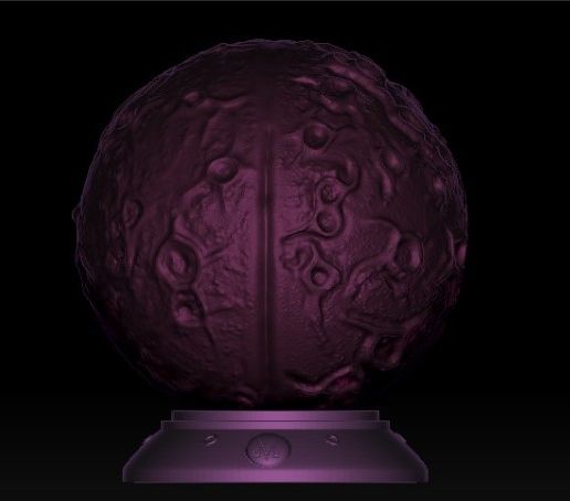 🥚 BUU EGG・ STL File for ・Cults