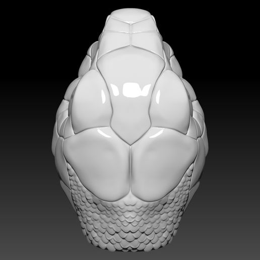 🐍 snake head・Free STL File for 3D printing・Cults