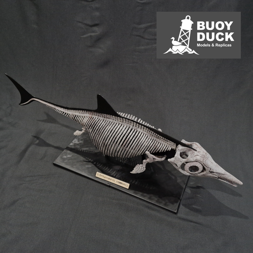 👶 Baby Ichthyosaurus communis skeleton・ 3D File for 3D printing and CNC ...
