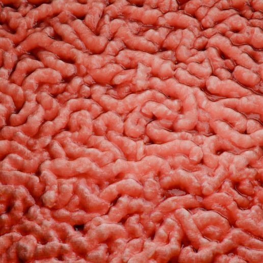 meat texture blender