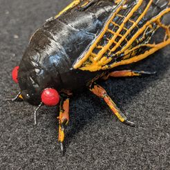 Cicada best STL files for 3D printing・32 models to download・Cults