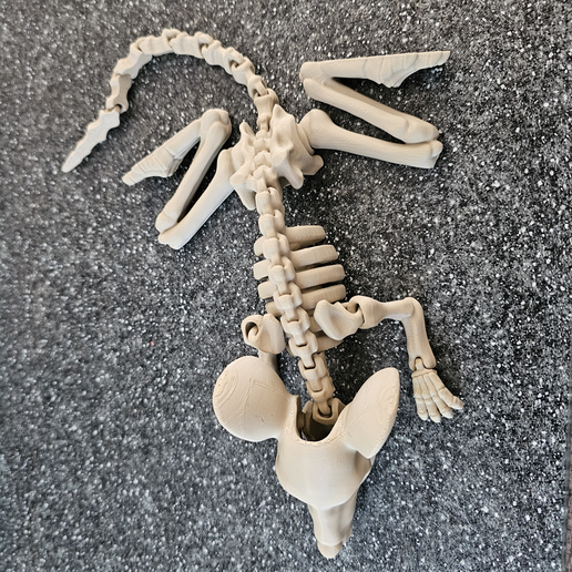 💀 LEONARDZ3D - FLEXI PRINT-IN- PLACE SKELETON RAT - HALLOWEEN・3D Print ...