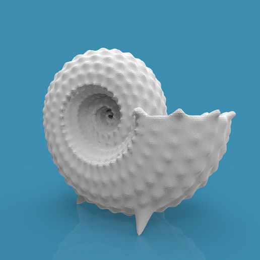 Archivo STL NAUTILUS SHELL - con patas 🐚 ・Diseño de impresión en 3D ...
